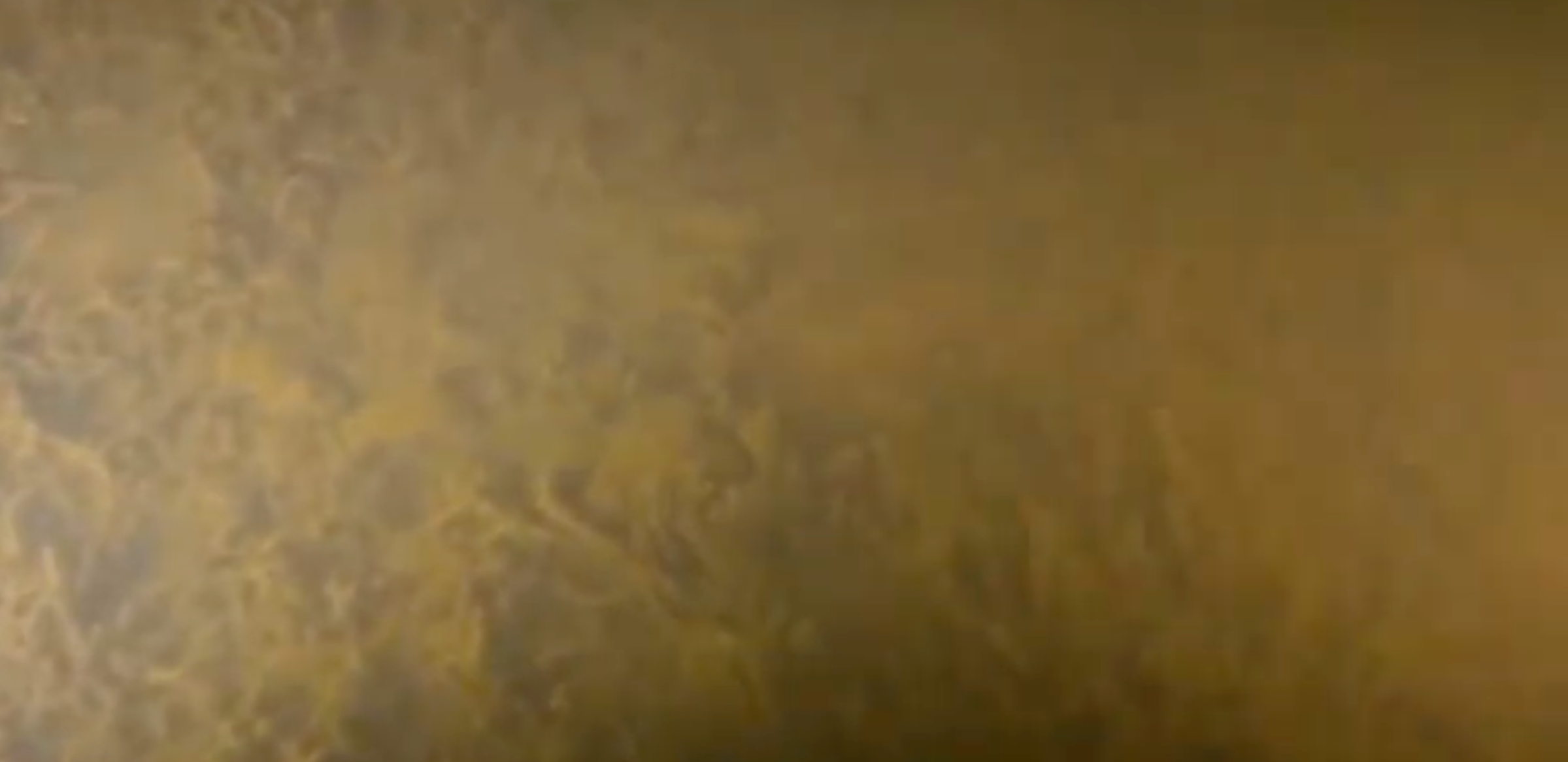 Bowfishing Light Dark Spots: How Swamp Eye HD Eliminates Dead Zones ...